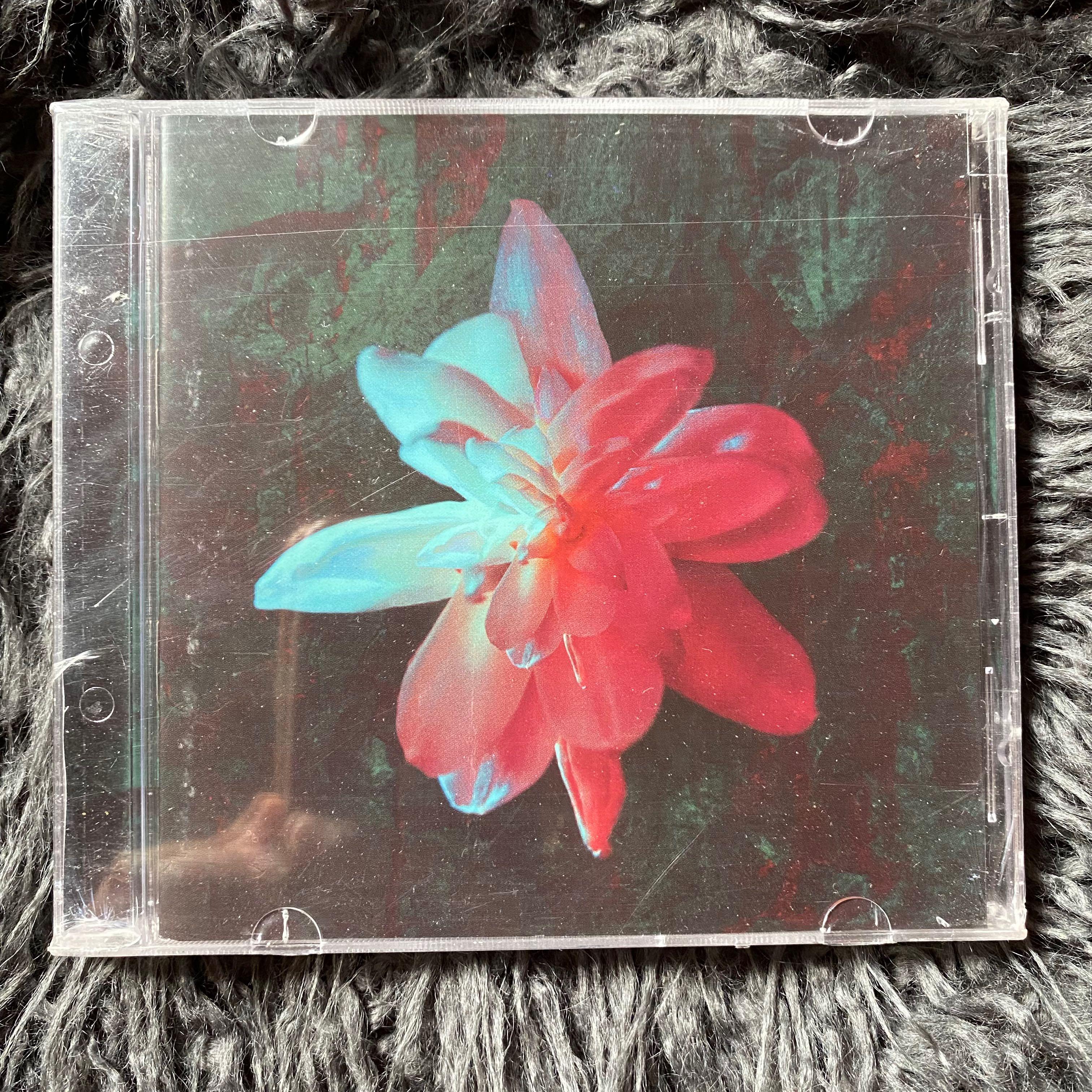 CD BARASUARA pikiran dan perjalanan, Hobbies & Toys, Music & Media, CDs & DVDs on Carousell