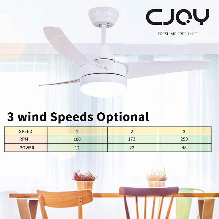 Cjoy Ceiling Light With Fan Silent , Ceiling Fans With Lighting And ...