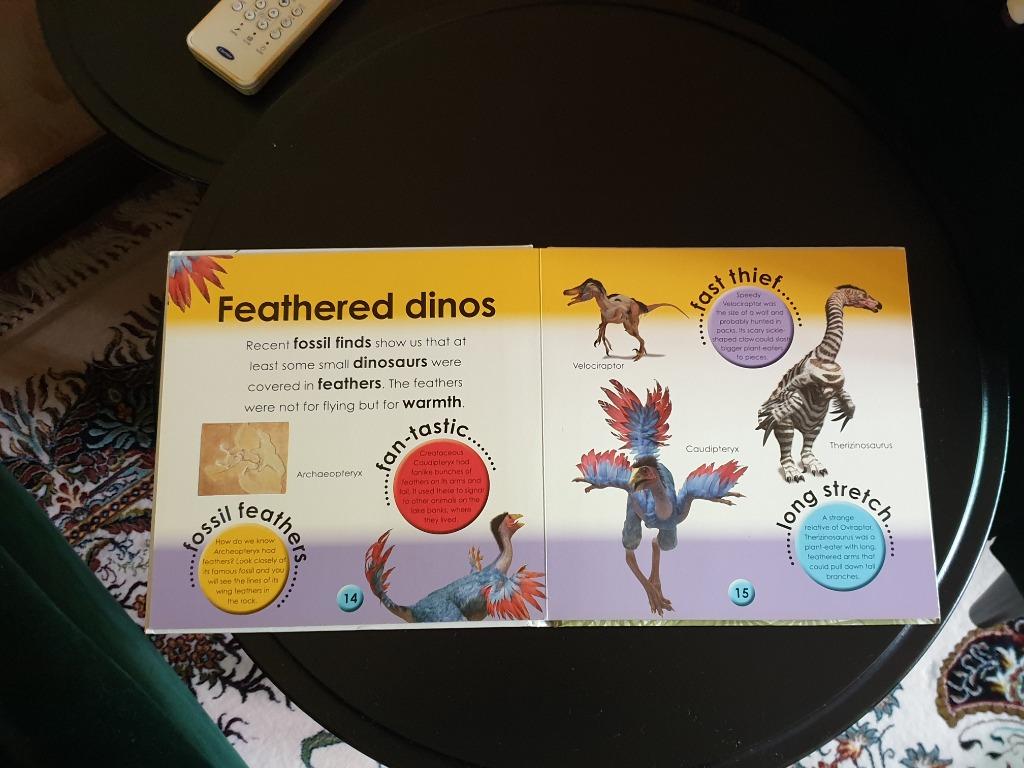 DK First Facts - Dinosaurs, Hobbies & Toys, Books & Magazines, Children ...