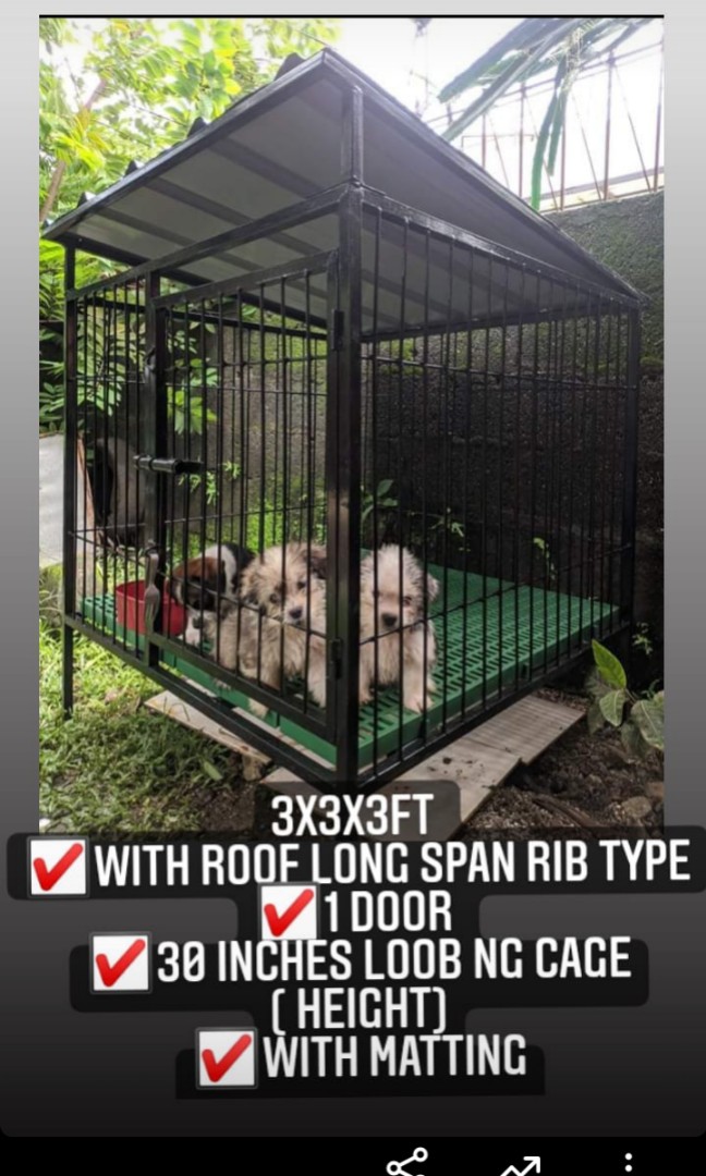 Dog Cage 3x3x3ft with roof and matting, Pet Supplies, Homes & Other Pet ...