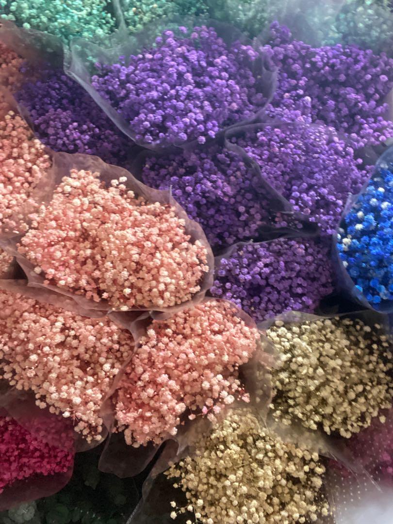 DRIED GYPSO FLOWER, Furniture & Home Living, Home Decor, Artificial ...