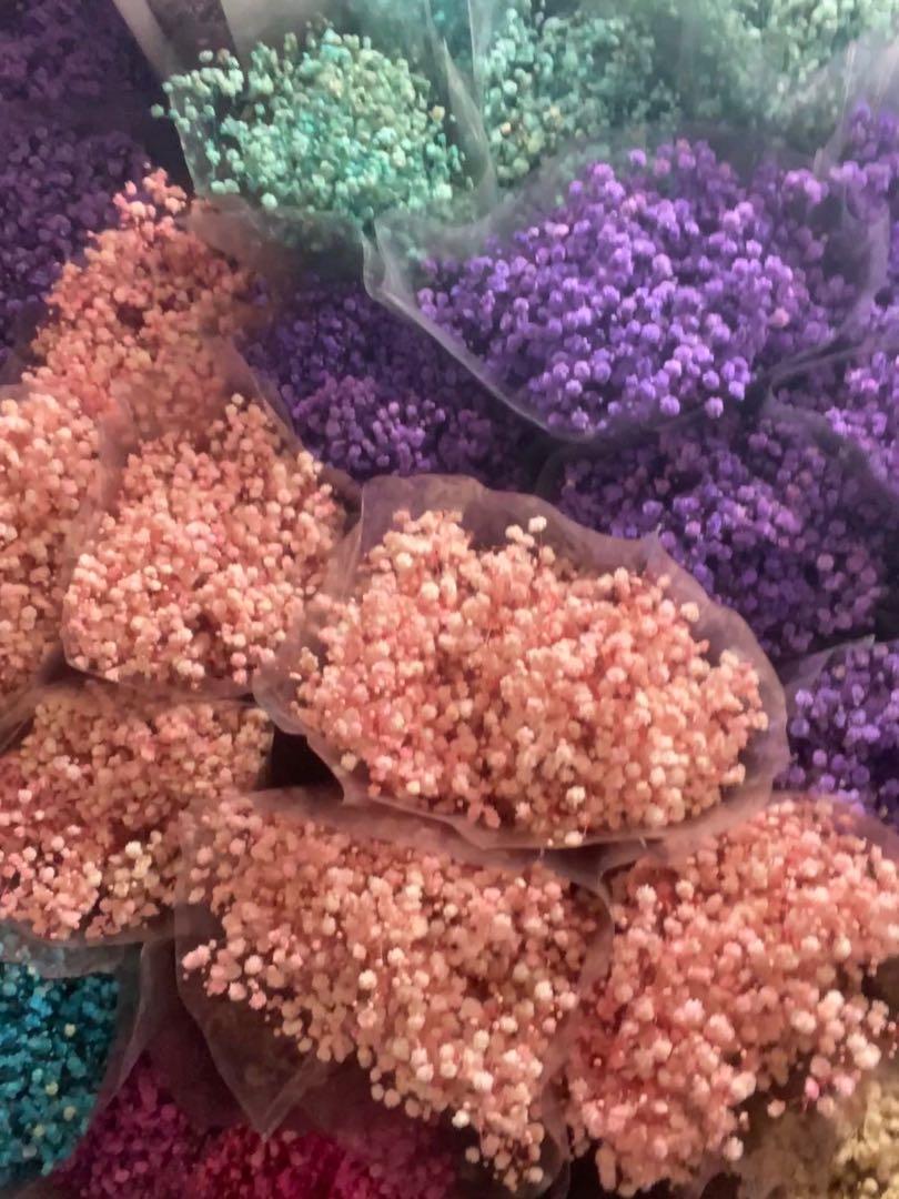 DRIED GYPSO FLOWER, Furniture & Home Living, Home Decor, Artificial ...