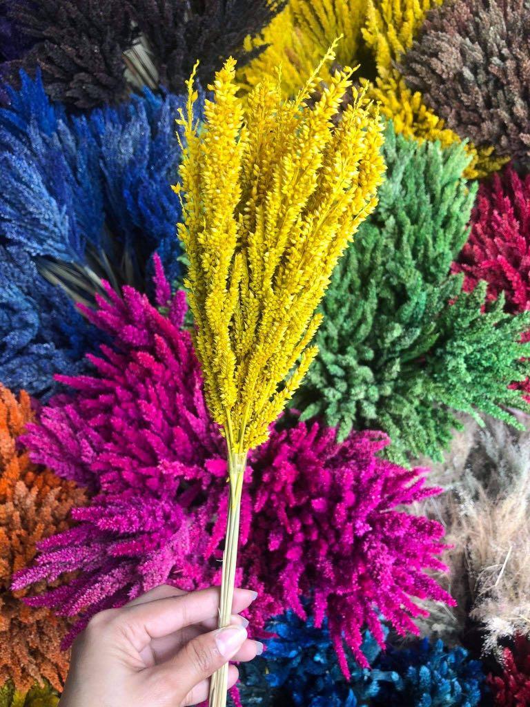 DRIED TRIGO, Furniture & Home Living, Home Decor, Artificial Plants ...