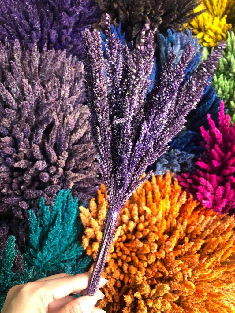 DRIED TRIGO, Furniture & Home Living, Home Decor, Artificial Plants ...