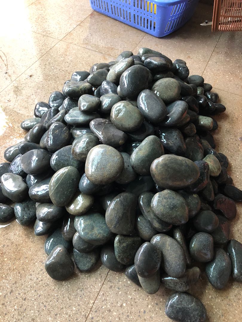 Large Pebbles Stones, Furniture & Home Living, Gardening, Gardening ...