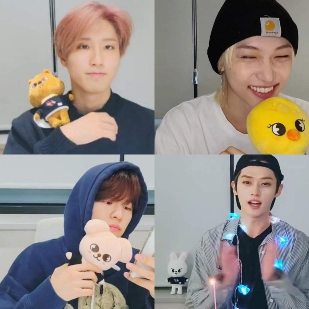 Stray Kids SKZOO, Hobbies & Toys, Memorabilia & Collectibles, K-Wave on ...