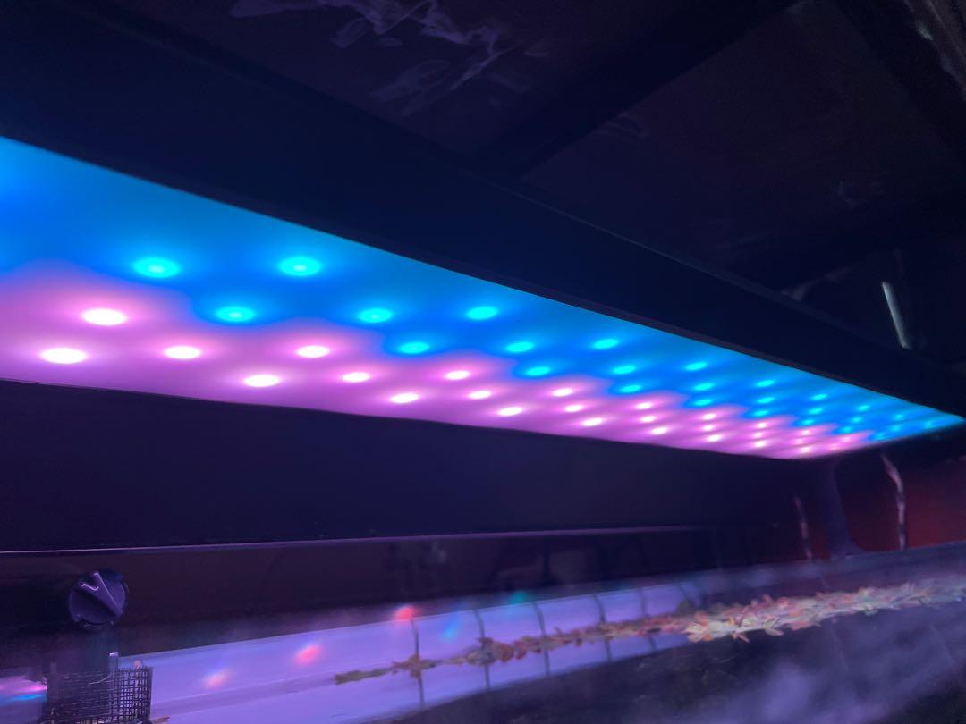 Netlea AT5 WRGB LED Aquarium Light, Pet Supplies, Homes & Other Pet ...