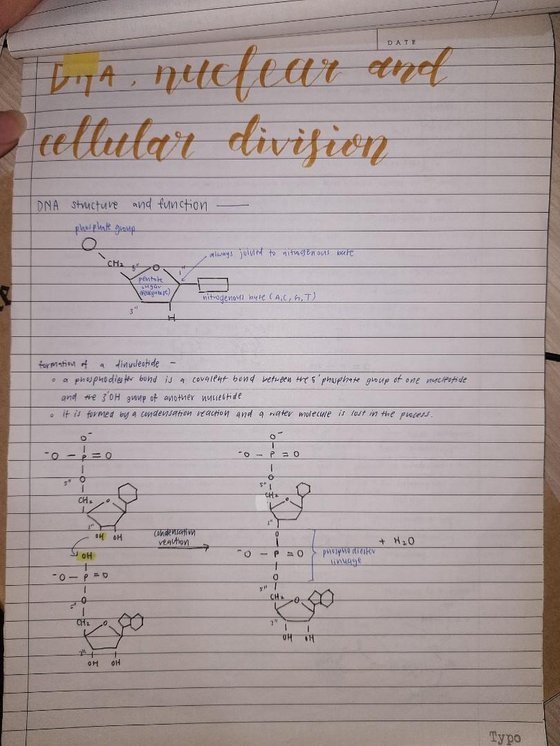 sec 3 and 4 rgs ip triple science notes biology chemistry physics ...
