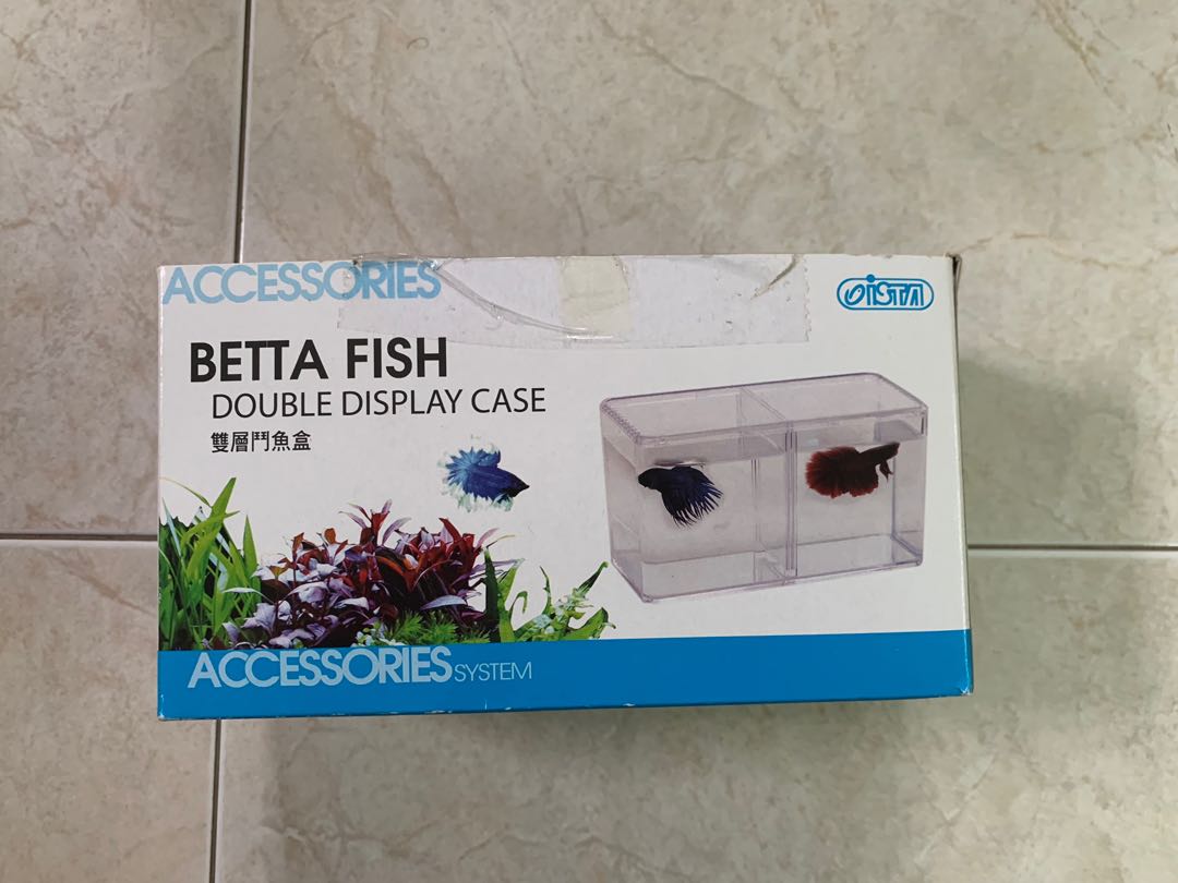 Betta Fish Double display case, Pet Supplies, Homes & Other Pet ...