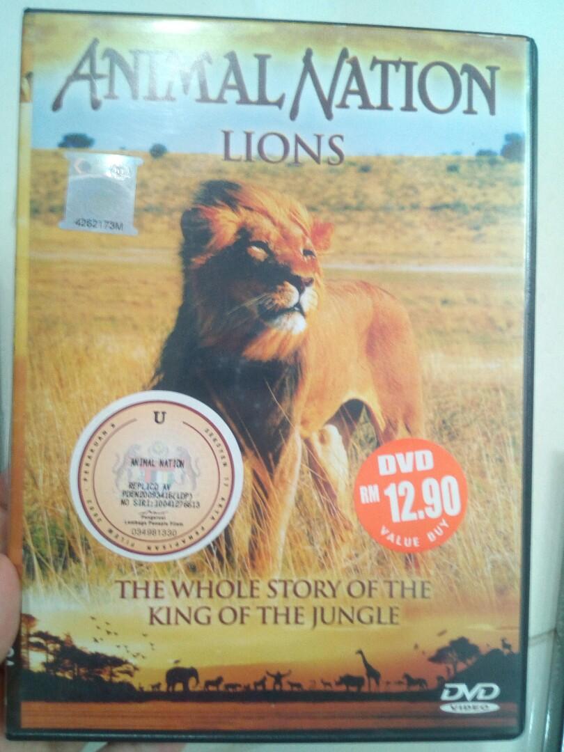 Spirit stallion of the Cimarron, Ratatouille, Over the hedge, Pirate ...