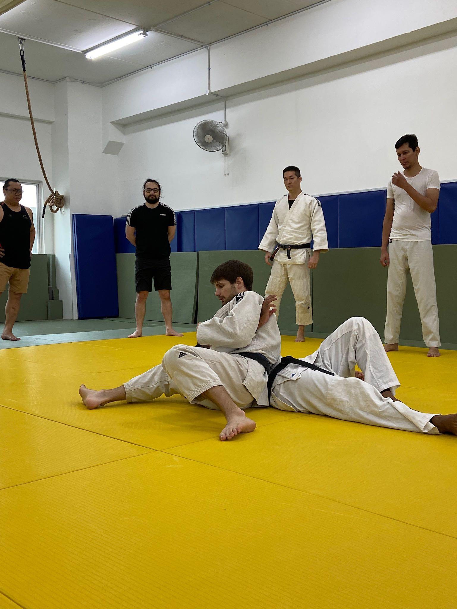12 sessions- Beginner Judo lessons: Learn Beautiful Throws, Learning ...