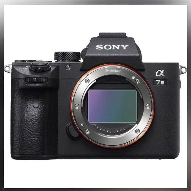 Sony a7iii mirrorless camera body only - Alpha 7 III with 35mm full ...