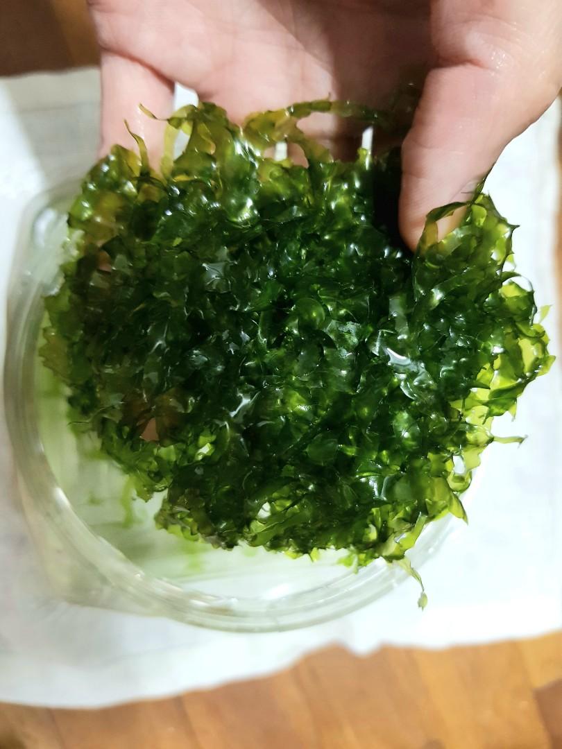 Susswassertang, Furniture & Home Living, Gardening, Plants & Seeds on ...