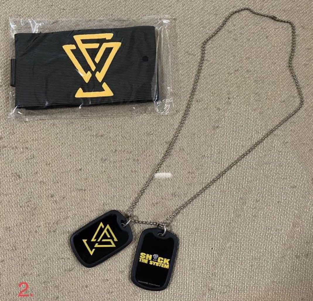 WWE Undisputed Era 'Spray' Costume Package, Men's Fashion, Tops & Sets ...