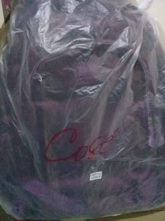 COSE Backpack, Women's Fashion, Bags & Wallets, Backpacks on Carousell