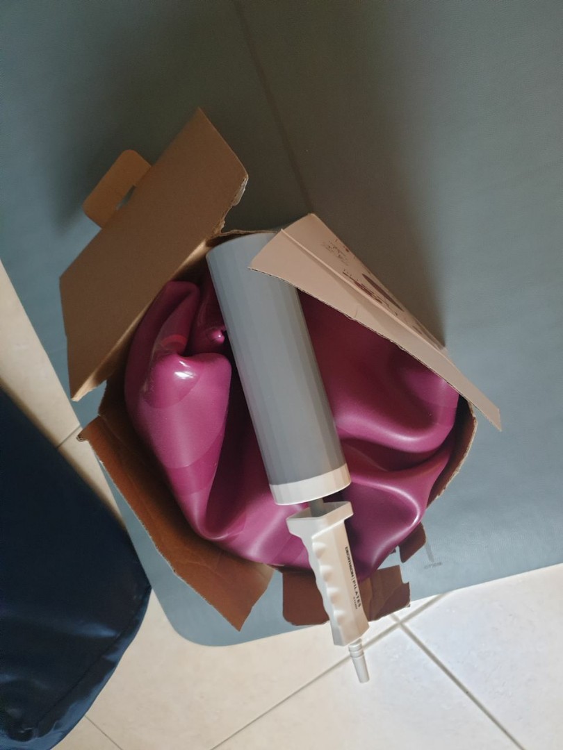 Decathlon exercise ball, Sports Equipment, Exercise & Fitness, Toning ...