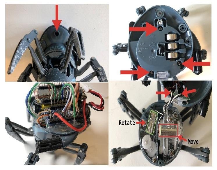 HEXBUG Battle Ground Spider Micro Robotic Creature Gray Battery ...