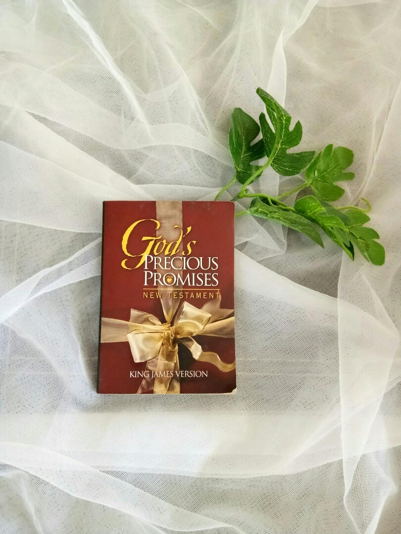 Mini-New Testament Bible, Hobbies & Toys, Books & Magazines, Religion ...