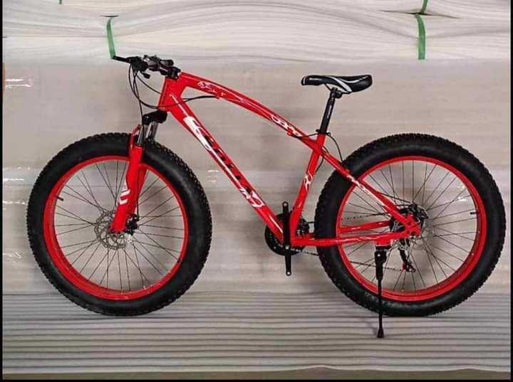 SOFIA FAT BIKE, Sports Equipment, Bicycles & Parts, Bicycles on Carousell