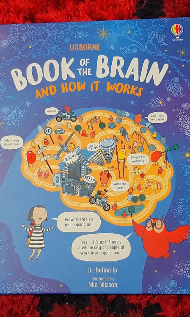 Usborne Book of The brain and How it works, Buku & Alat Tulis, Buku ...