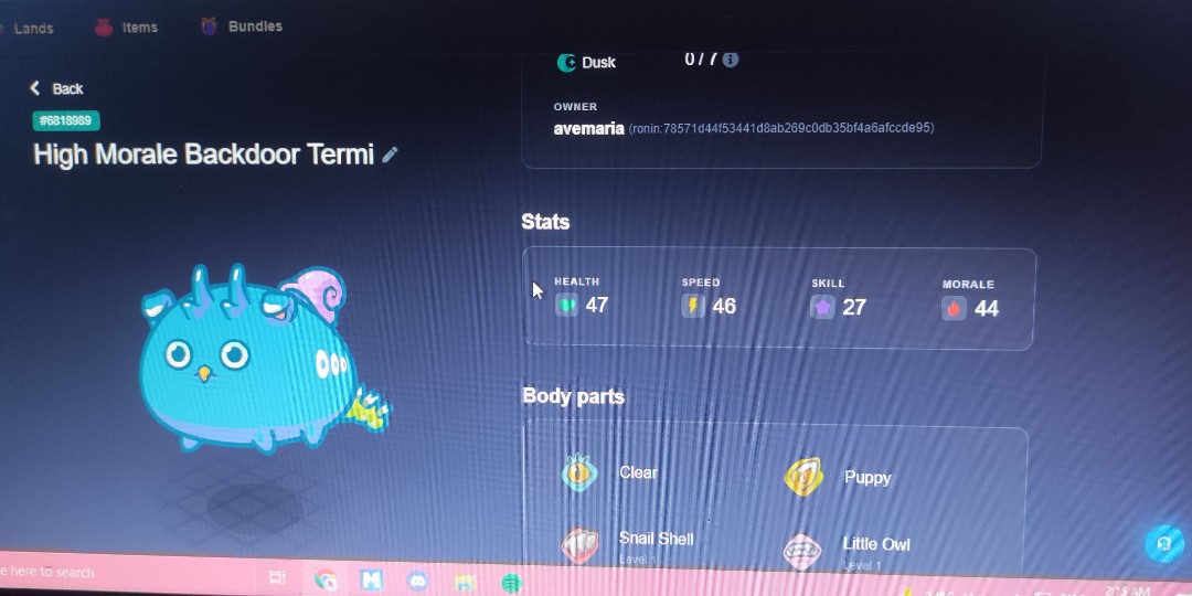 axie dusk virgin termi, Everything Else, Others on Carousell