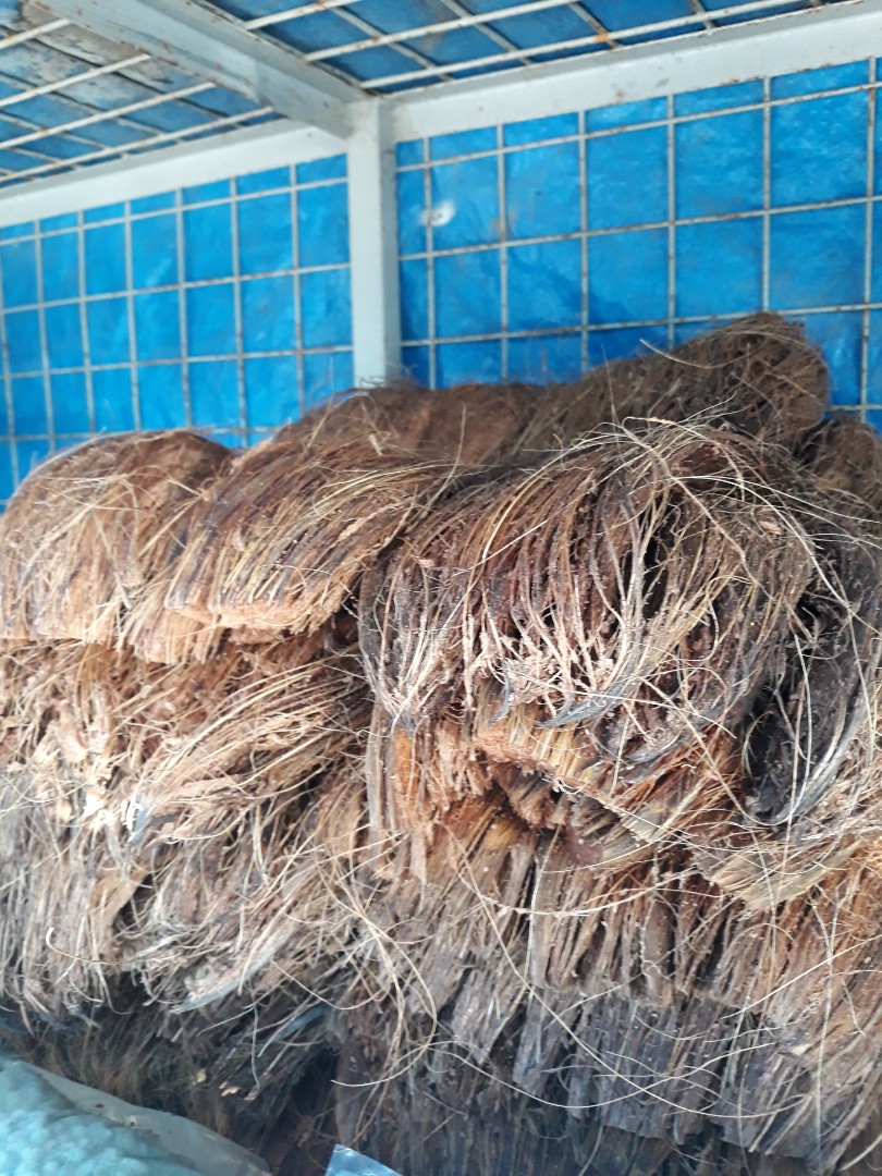 Bunot, Furniture & Home Living, Gardening, Plants & Seeds on Carousell