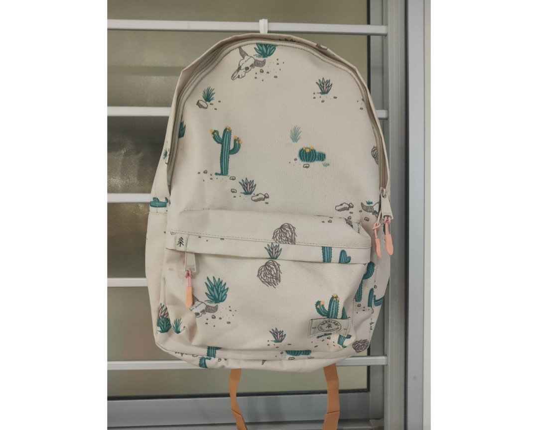 Cute desert cactus backpack, Women's Fashion, Bags & Wallets, Backpacks ...