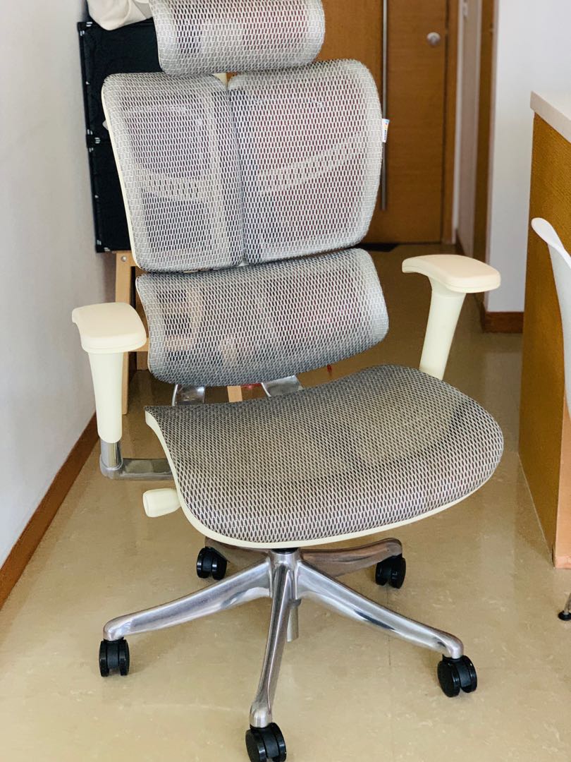 Ergomax Evolution Ergonomic Chair (extra large), Computers & Tech ...