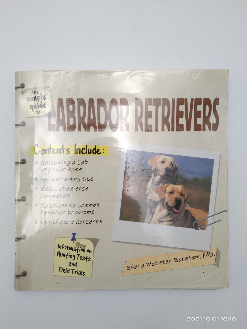 Labrador retrievers guidebook, Hobbies & Toys, Books & Magazines ...