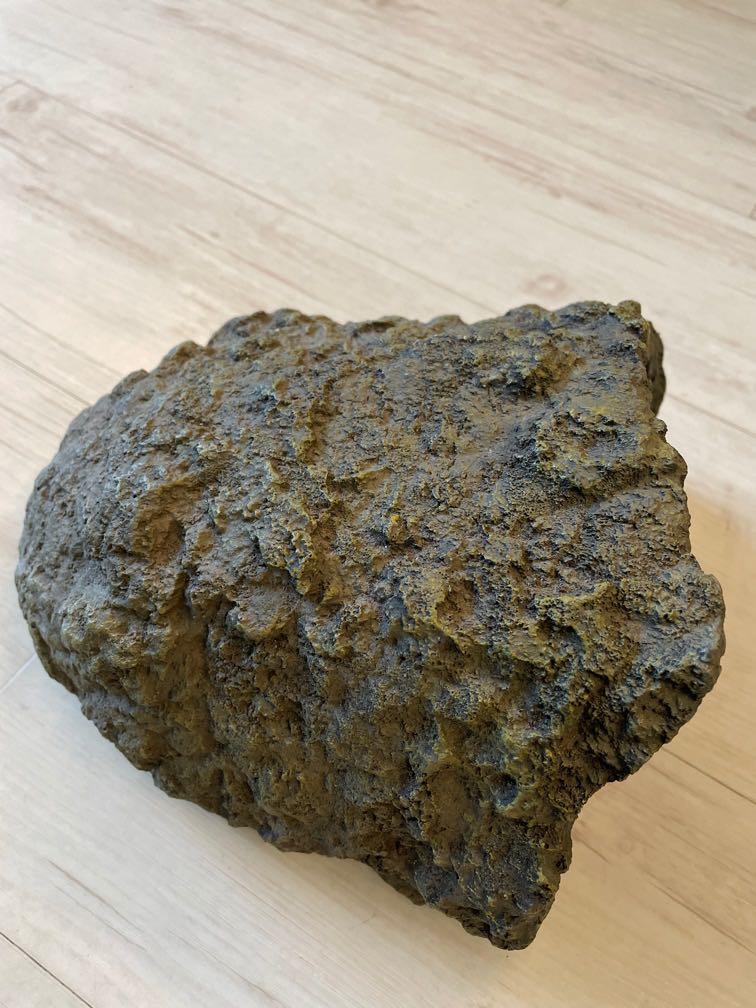 Pet rock house, Pet Supplies, Homes & Other Pet Accessories on Carousell