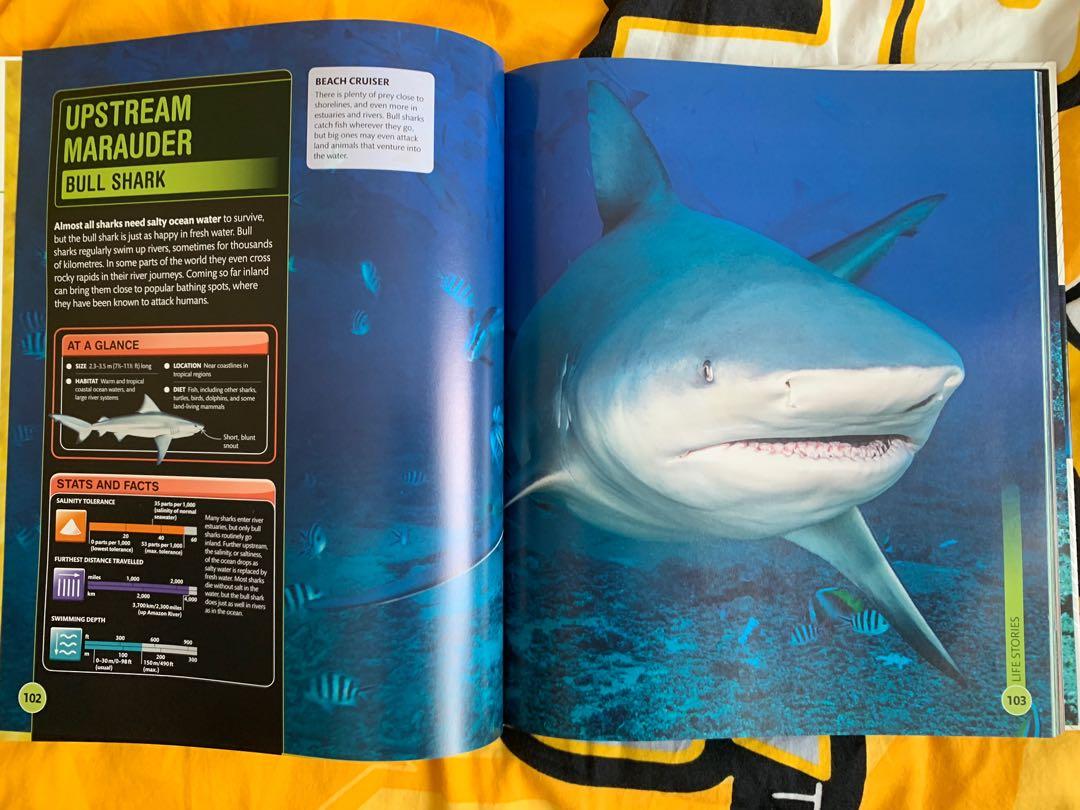 Super Shark encyclopedia, Hobbies & Toys, Books & Magazines, Children's ...