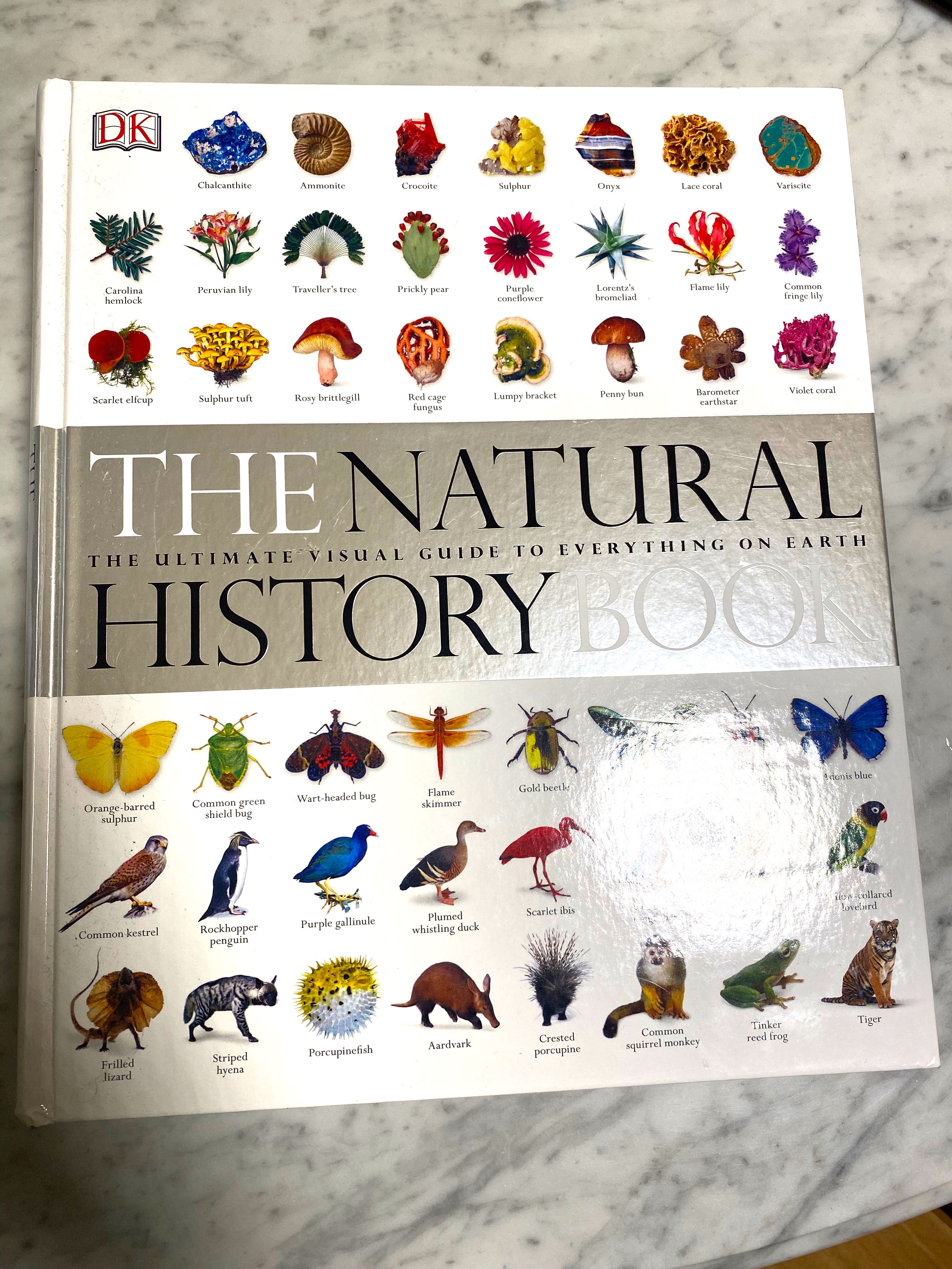 The natural history book, Hobbies & Toys, Books & Magazines, Children's ...
