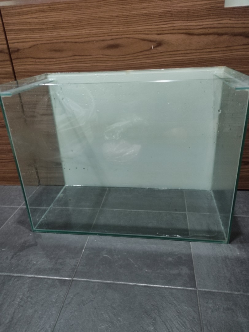 2ft tall tank, Pet Supplies, Homes & Other Pet Accessories on Carousell