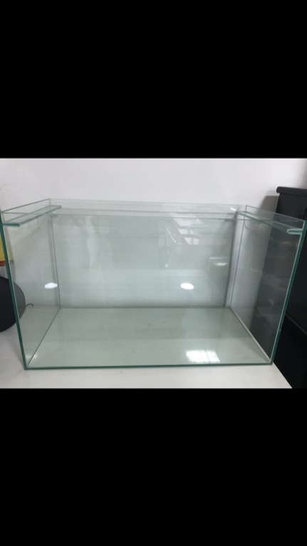 60cm Fish tank, Pet Supplies, Homes & Other Pet Accessories on Carousell