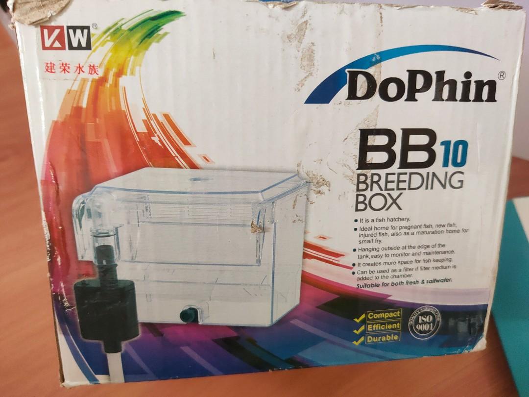 Dolphin breeding box BB10 with pump, TV & Home Appliances, Other Home ...