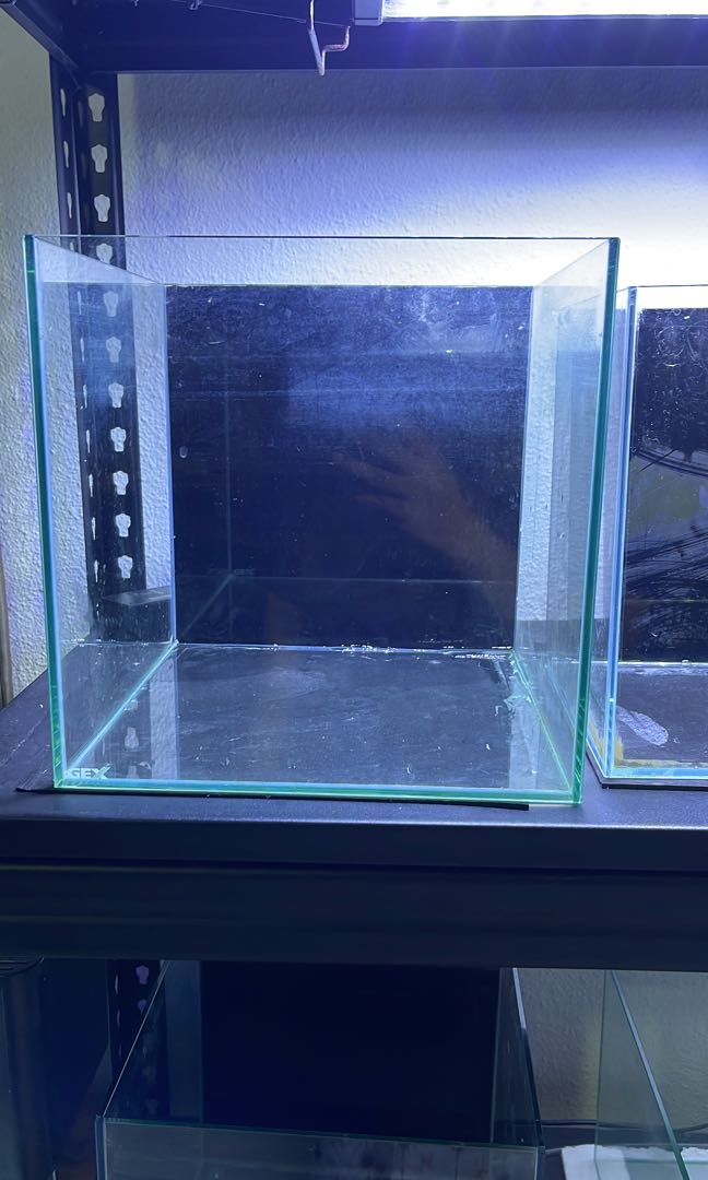 GEX 30cm cube tank, Pet Supplies, Homes & Other Pet Accessories on ...