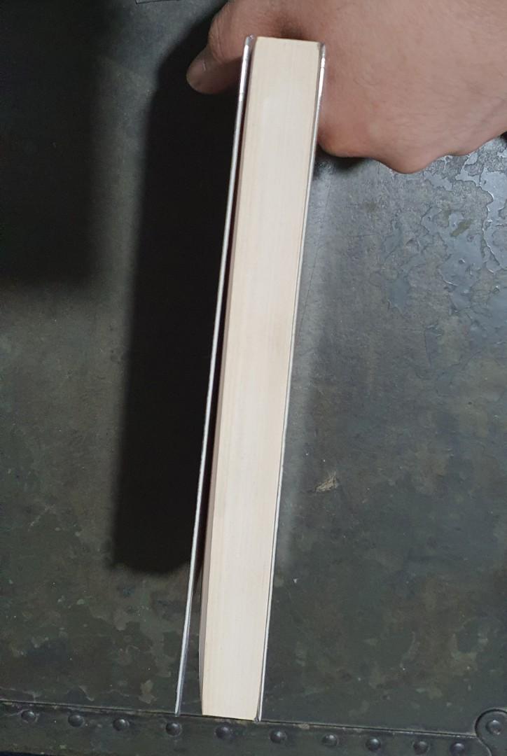 Gina Apostol - The Revolution According to Raymundo Mata, Hobbies ...