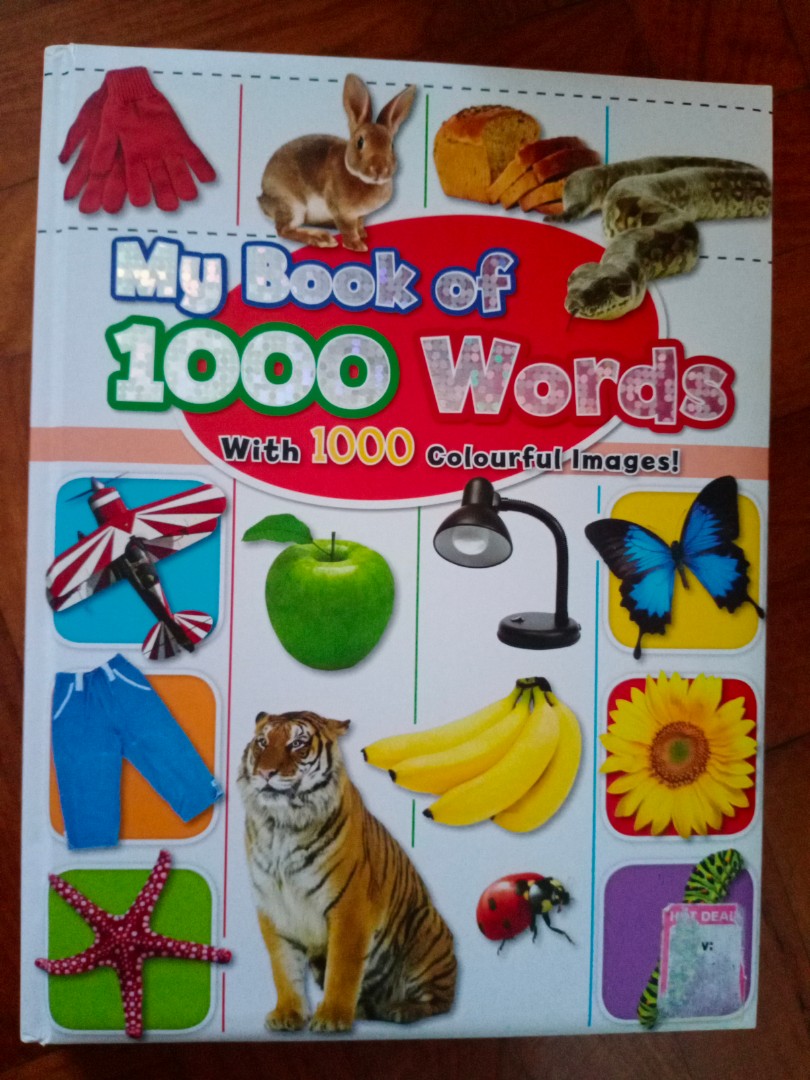 My Book of 1000 Words with 1000 colourful images, Hobbies & Toys, Books ...