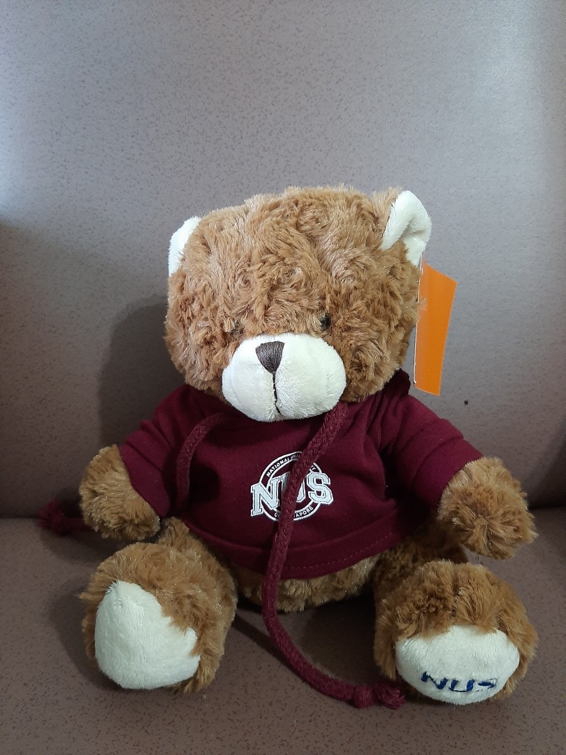 NUS bear, Hobbies & Toys, Memorabilia & Collectibles, Vintage ...