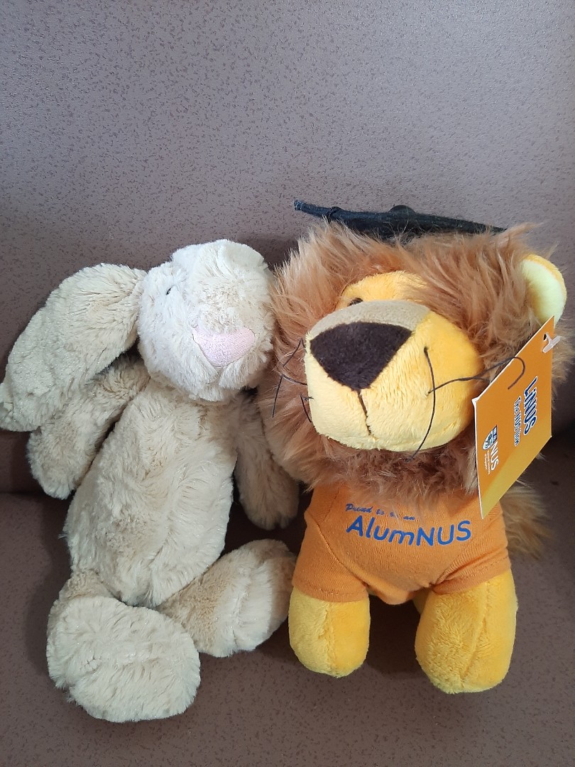 NUS Graduation Lion and Rabbit, Hobbies & Toys, Toys & Games on Carousell
