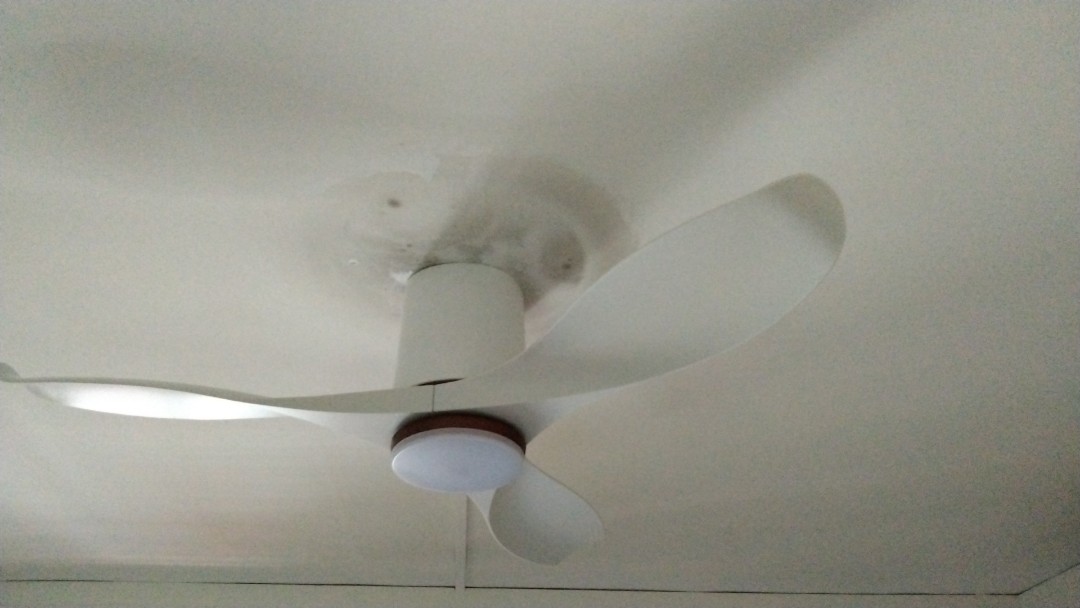 PO Gust Vspec-II, Furniture & Home Living, Lighting & Fans, Fans on ...