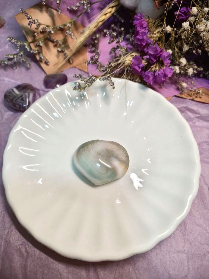 Shiva Shell Heart, Everything Else on Carousell