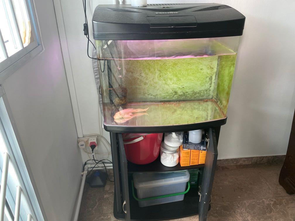 Used fish tank for sale. Comes with pump, Pet Supplies, Homes & Other ...