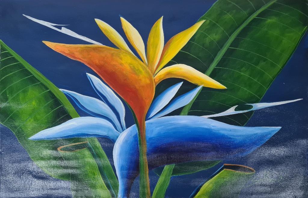 Birds of Paradise Series - Marmelo Valencia, Hobbies & Toys, Stationary ...