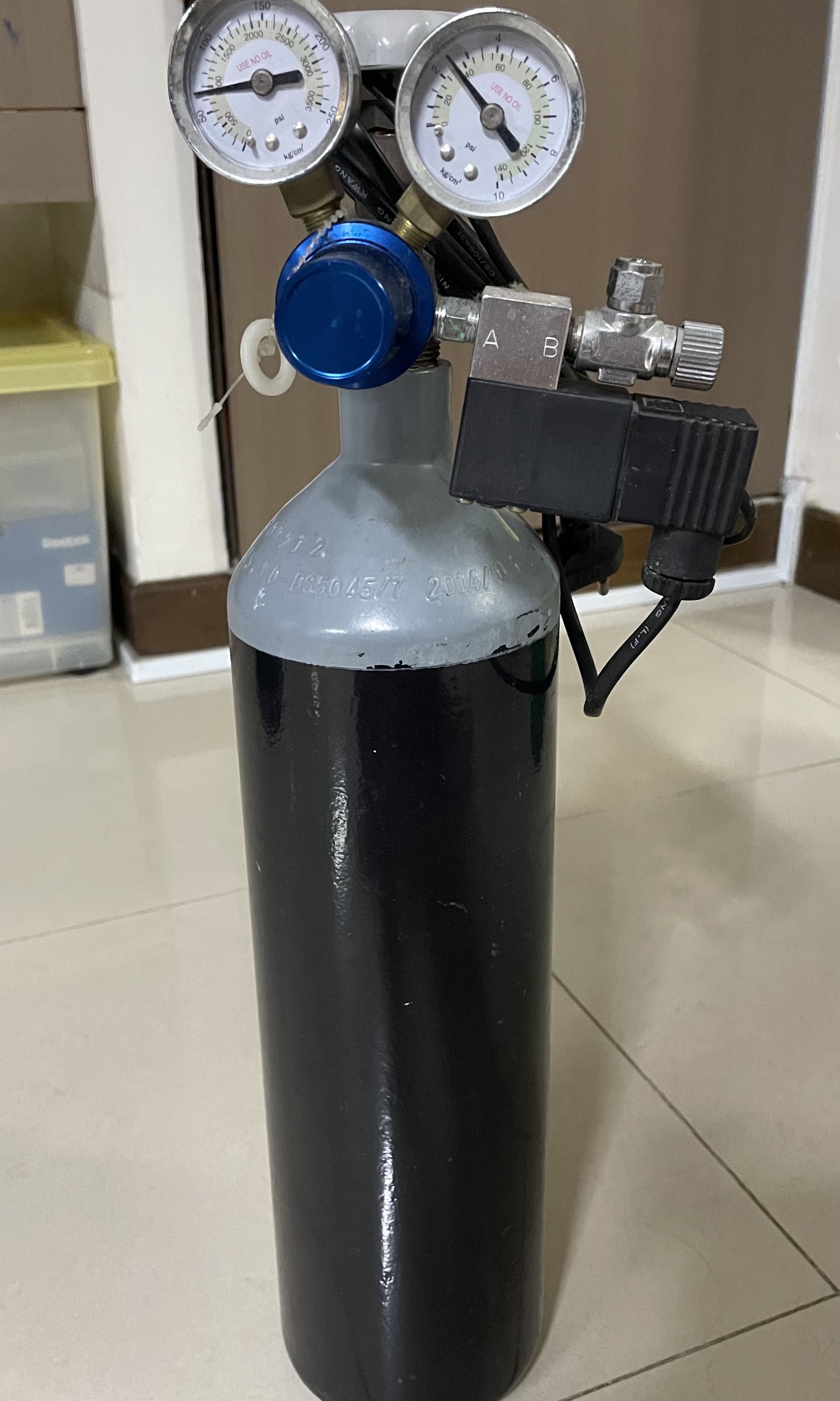 CO2 tank 2L with solenoid, Pet Supplies, Homes & Other Pet Accessories ...