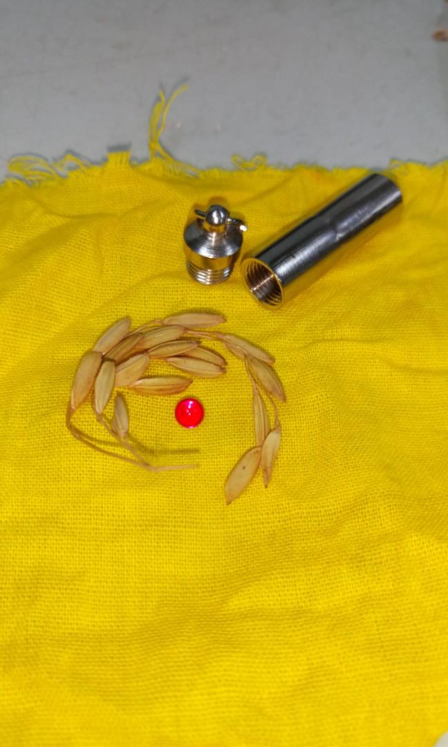 Geliga lipan merah@ blood centipede pearl kalimantan, Hobbies & Toys ...