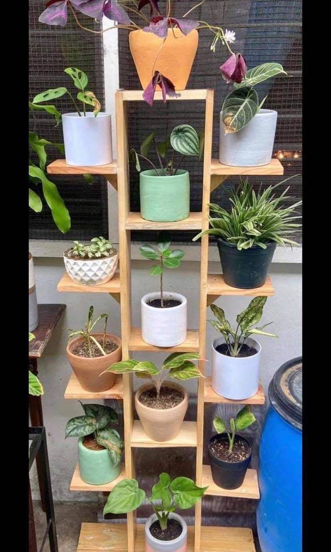 Plant rack organizer display rack wood shelf palochina wood, Furniture ...