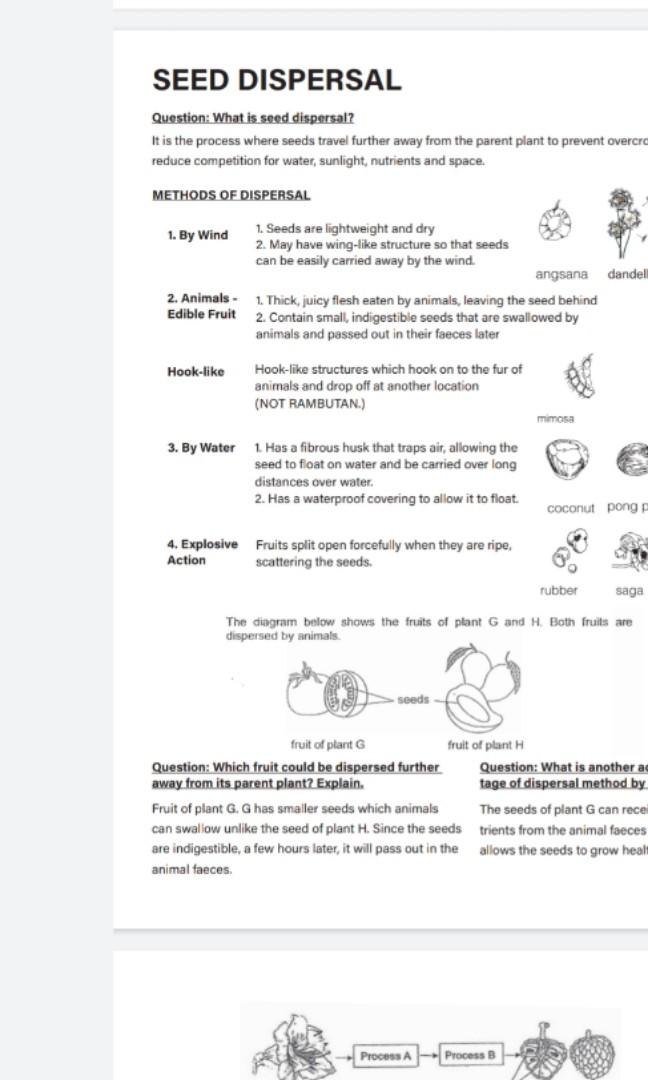 PSLE Science Revision Notes - by 8 Year PSLE Tutor, Hobbies & Toys ...