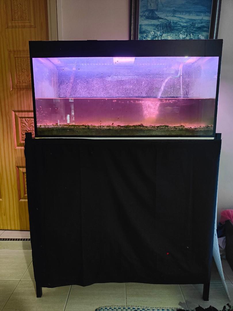 Unlevel Fish Tank Help! R/Aquariums, 41% OFF