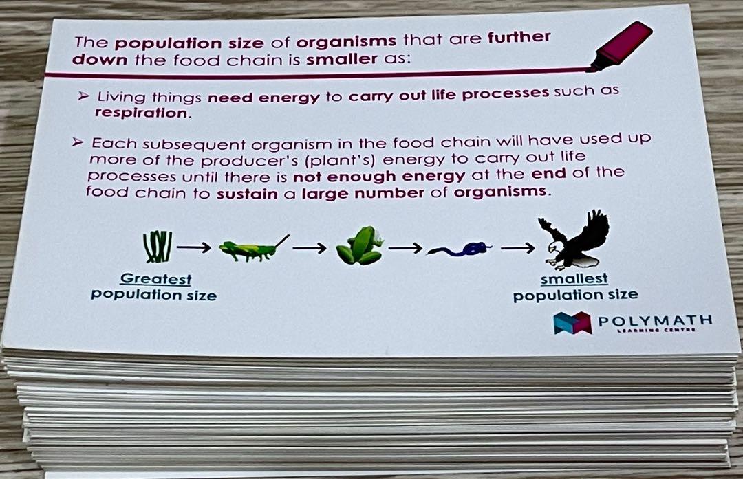 Polymath PSLE Science Flash Cards, Hobbies & Toys, Books & Magazines ...